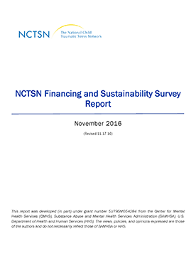 NCTSN Financing and Sustainability Survey Report | The National Child ...