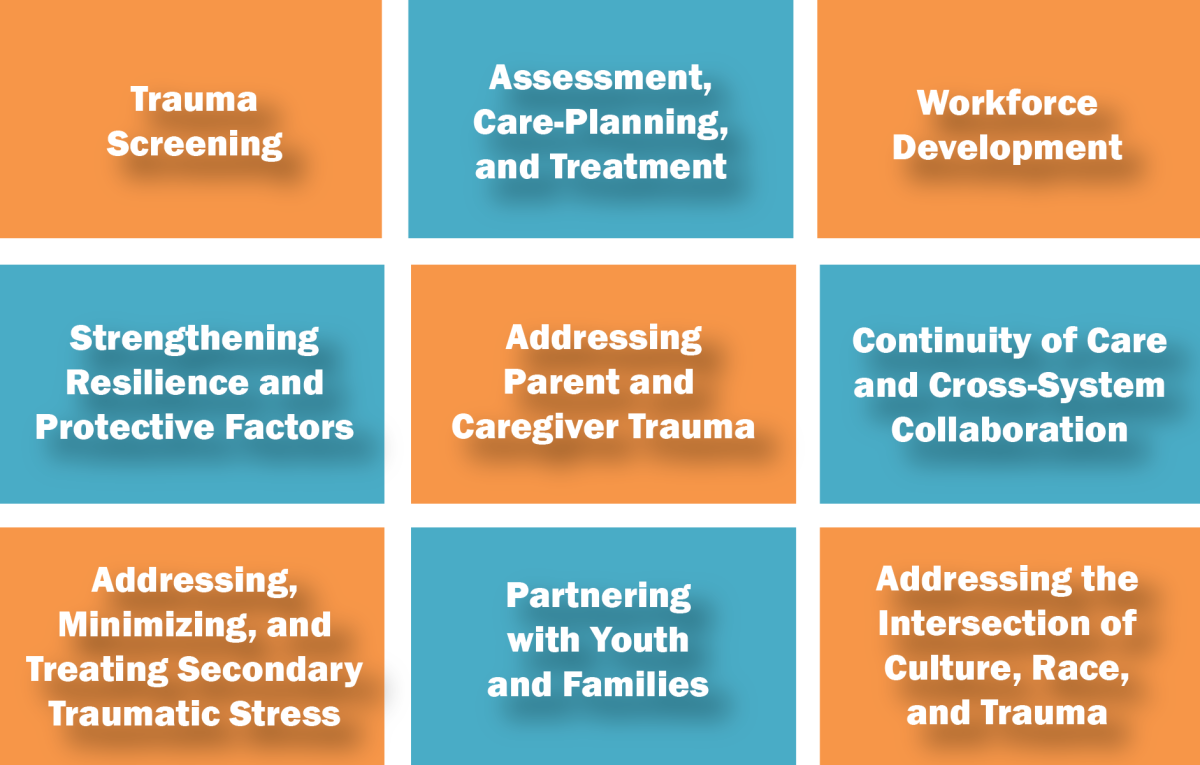 What Are the NCTSN TIOA Domains and Items? | The National Child ...